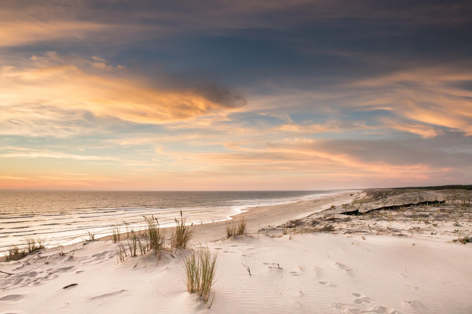 Visit Biscarrosse from beach to lake - Au Lac de Biscarrose - Camping